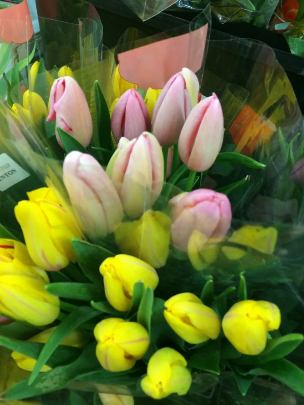 Spring Flowers - Fresh by FTD