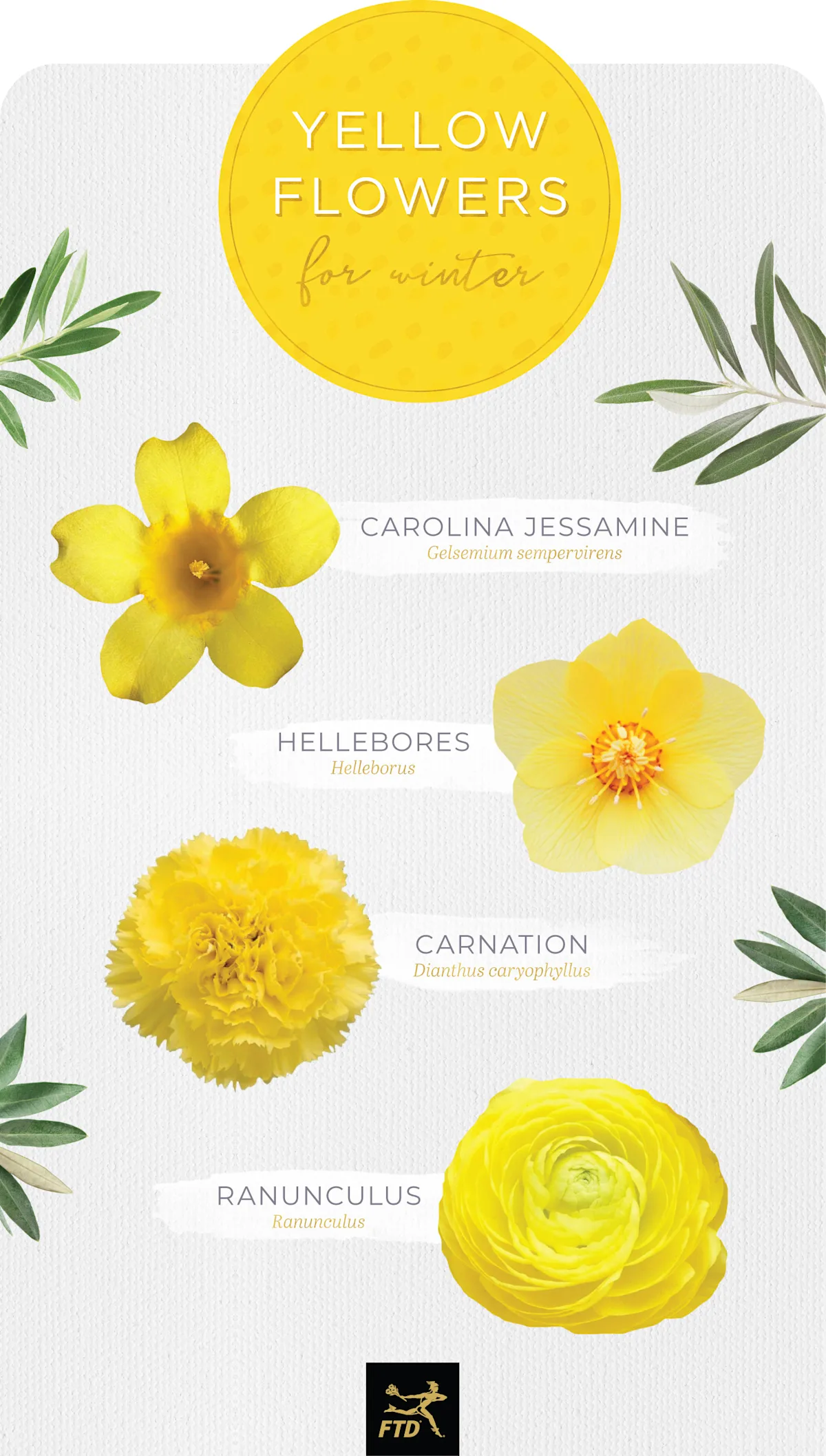 30 Types of Yellow Flowers - FTD.com