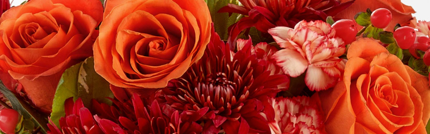 Fall Flowers Guide | Proflowers Blog