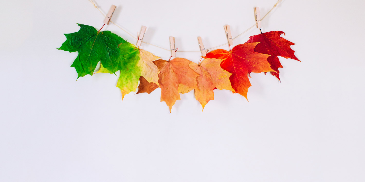 Fall Color Palettes to Inspire Your Decor | Proflowers Blog