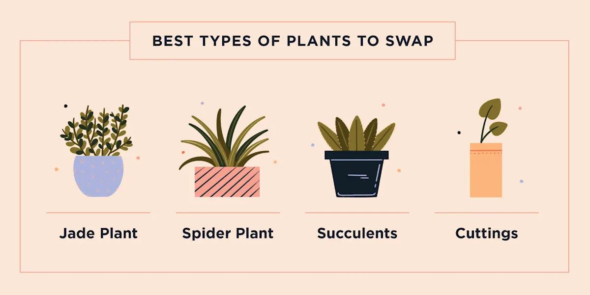 Your Guide to Hosting a Neighborhood Plant Swap | FTD.com