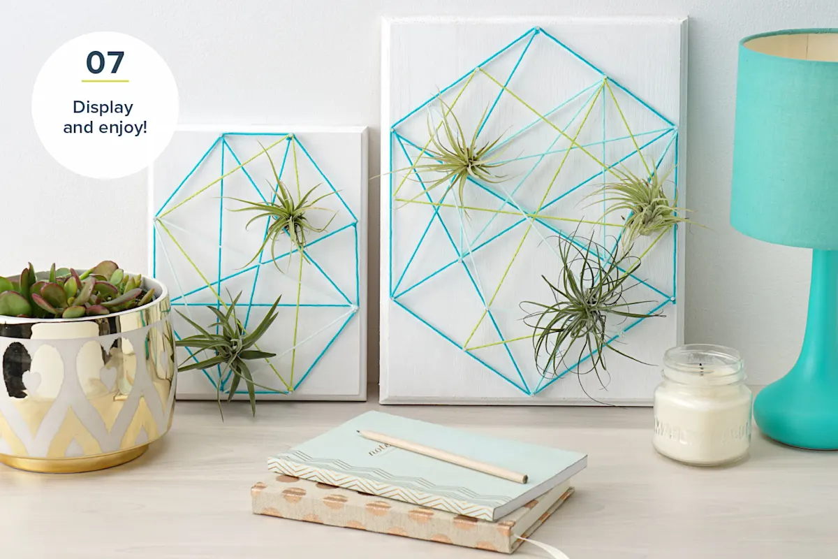 DIY Air Plant String Art Tutorial: 4 Gorgeous Ideas | Proflowers Blog