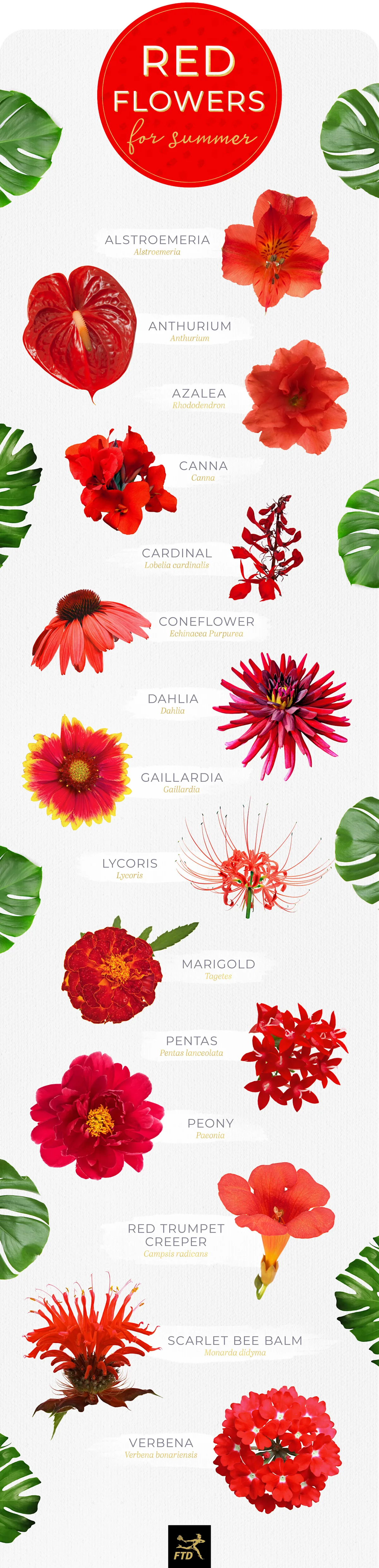 40 Types of Red Flowers - FTD.com
