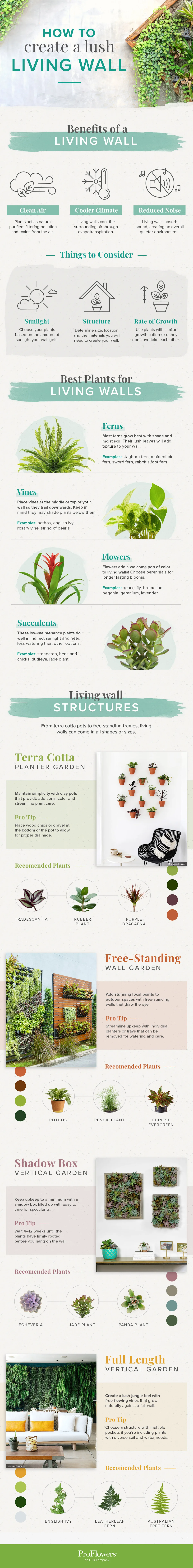 15 Living Wall Designs for a Fresh Home | Proflowers Blog