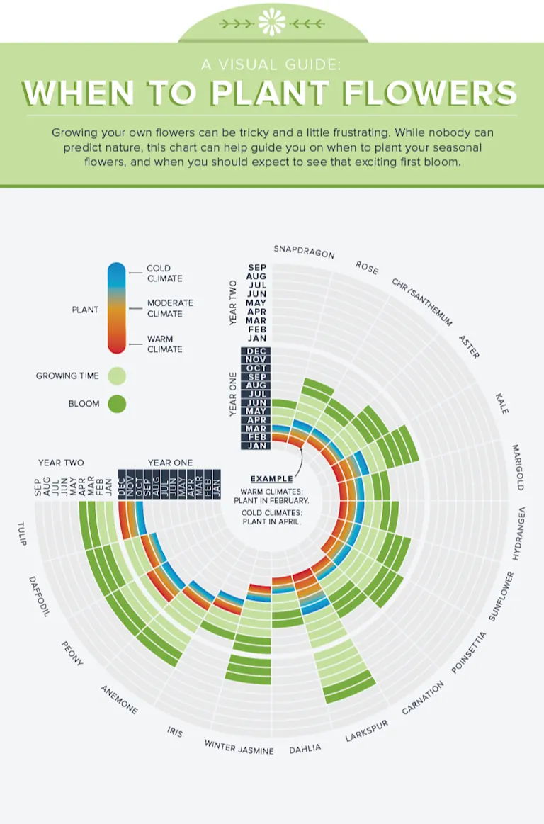 When to Plant Your Flowers | Proflowers Blog