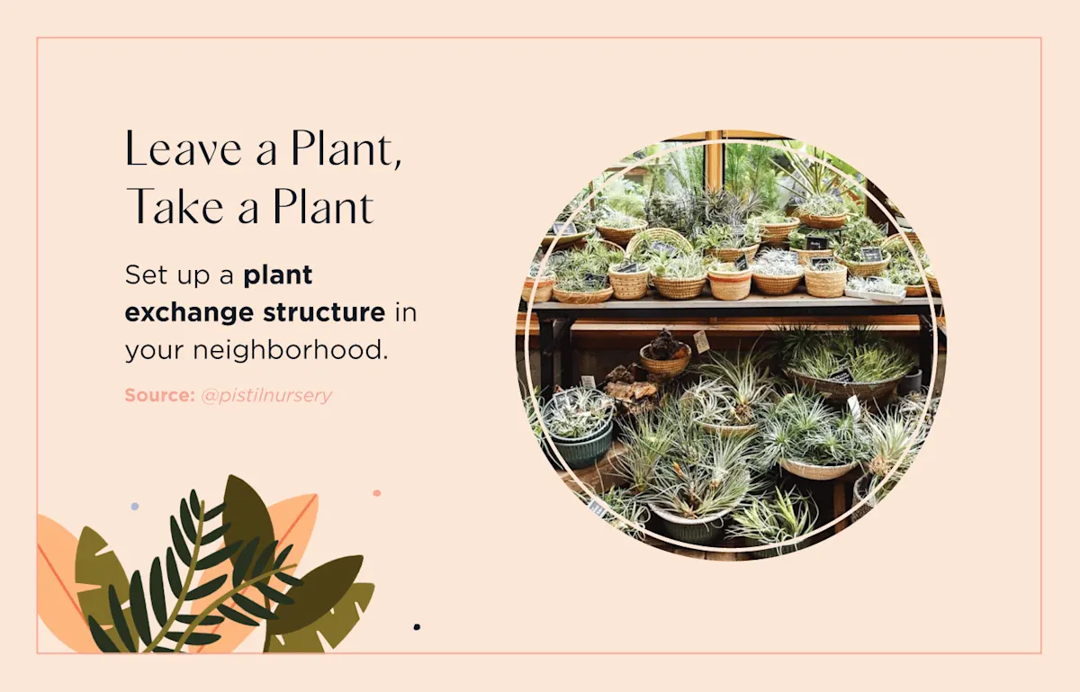 Your Guide to Hosting a Neighborhood Plant Swap | FTD.com