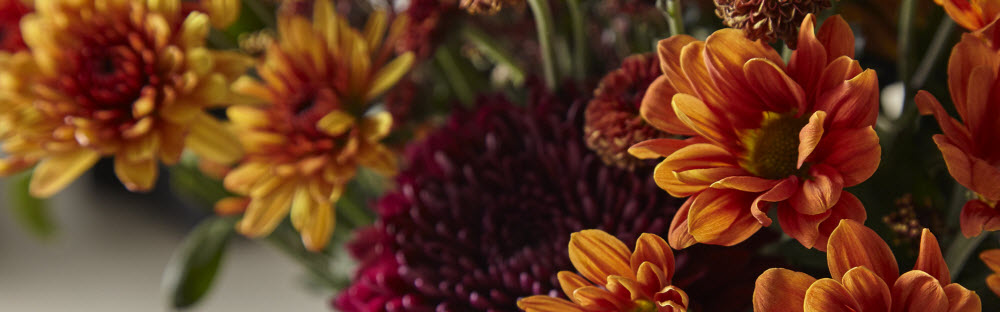Día de los Muertos Flowers | FTD