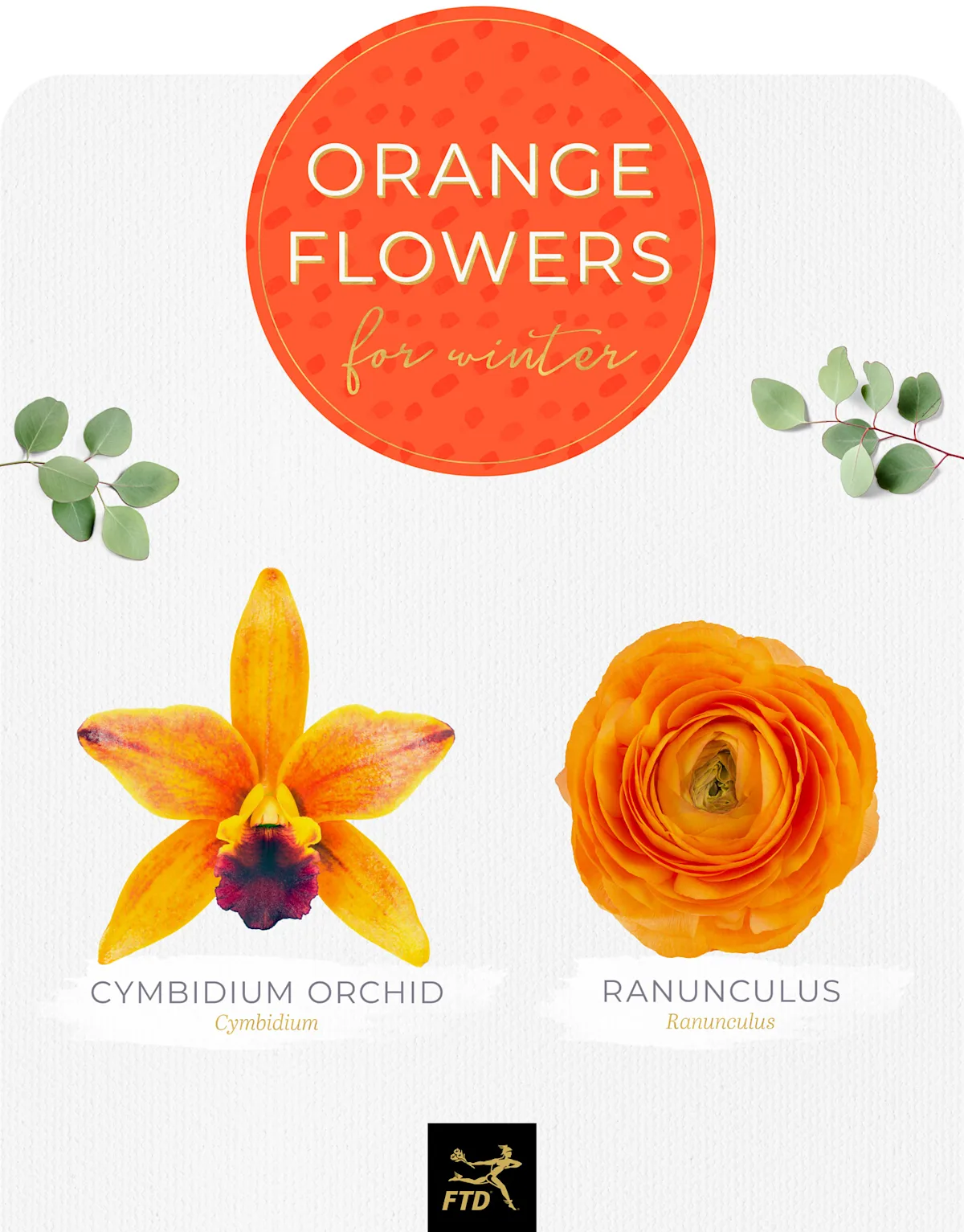 20 Types of Orange Flowers - FTD.com