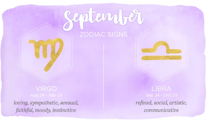 September Birth Flower: Aster - FTD.com