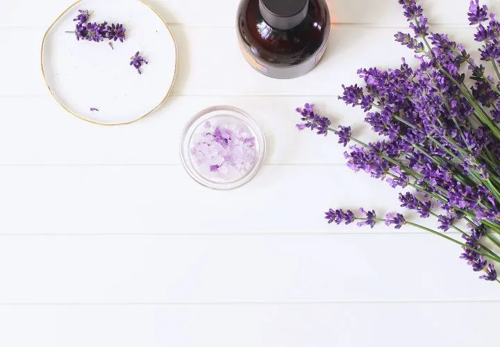 What To Do With Lavender: 20 Fun Recipes + Ideas | FTD