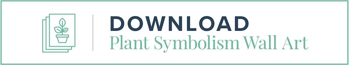 Plant Symbolism Guide: 31 Plants for Every Personality - ProFlowers Blog