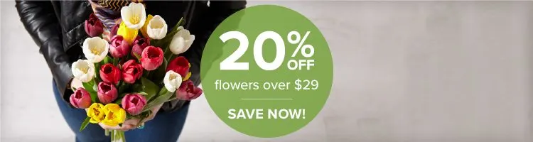 How to Thoughtfully Say Sorry And Earn Forgiveness | Proflowers Blog