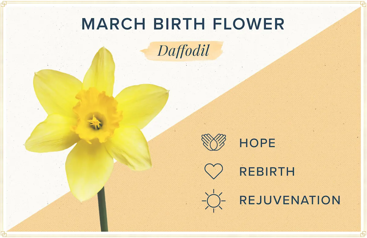 The Complete Guide of Birth Month Flowers | Proflowers Blog
