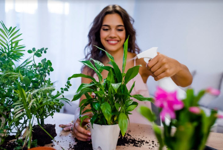 National Houseplant Day: Celebrate January 10th | FTD