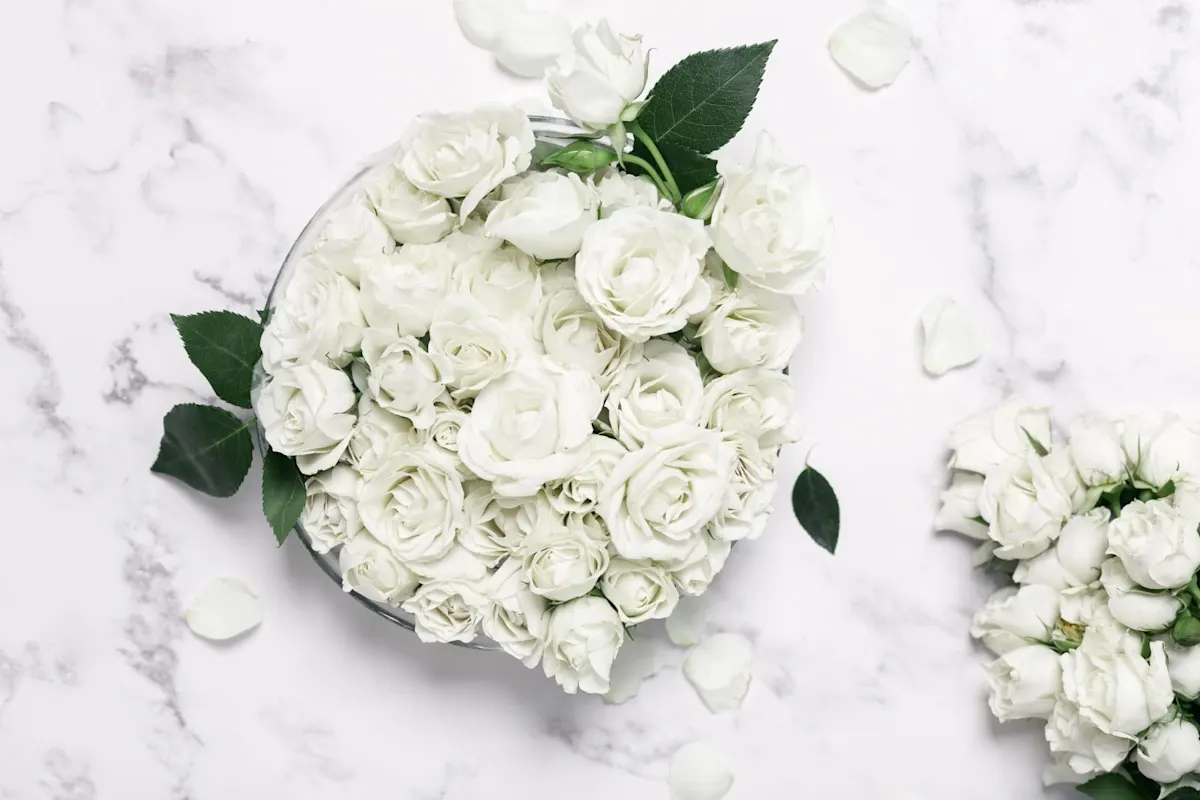 How to Choose the Right Rose for Every Occasion | Proflowers Blog