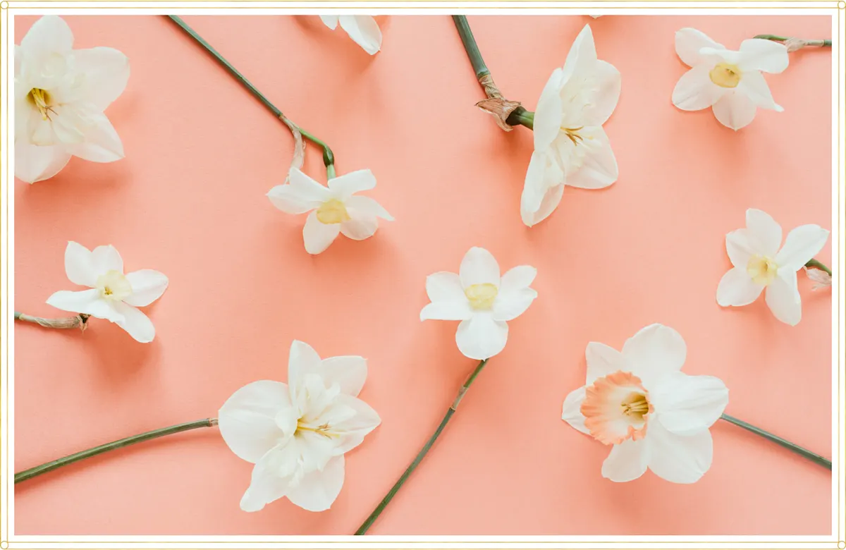 December Birth Flower + More: Narcissus - ProFlowers Blog