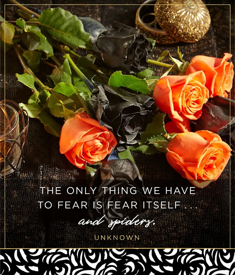 50+ Halloween Quotes to Awaken Your Spooky Spirit - FTD.com