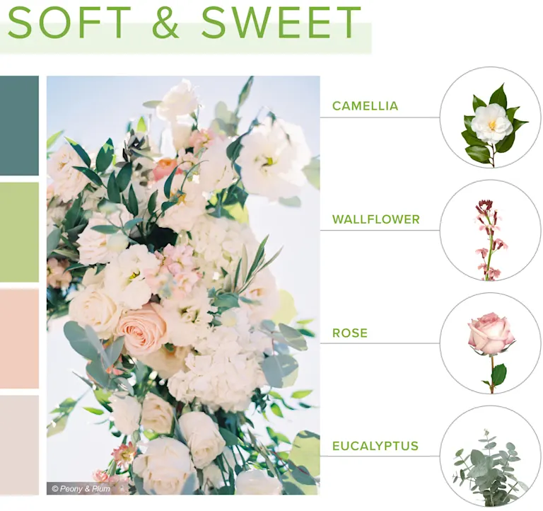 30+ Spring Flowers for the Perfect Bouquet | Proflowers Blog