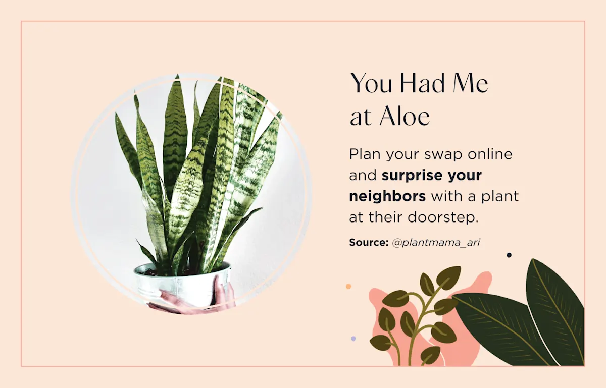Your Guide to Hosting a Neighborhood Plant Swap | FTD.com