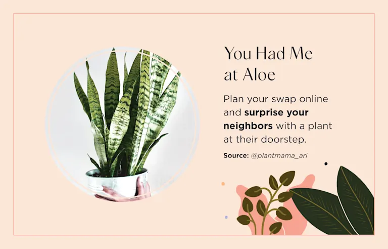 Your Guide to Hosting a Neighborhood Plant Swap | FTD.com