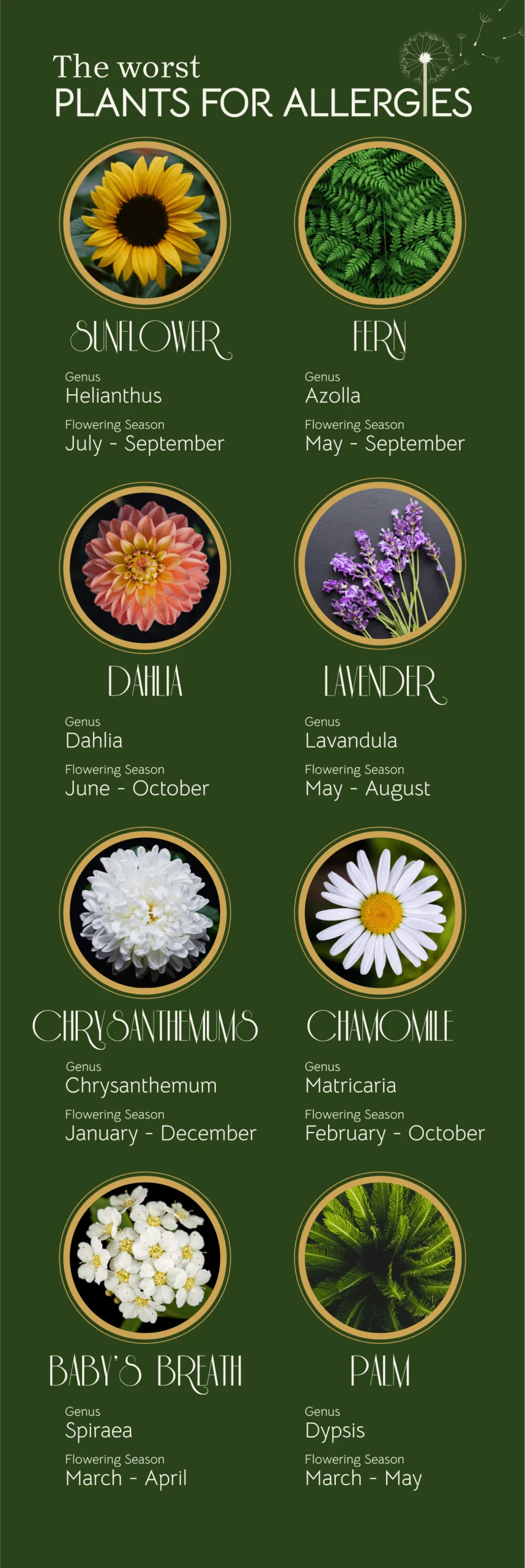 FTD’s Guide To The Worst Plants For Allergies | FTD