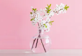 15 Japanese Flower Meanings and Where to Find Them | Proflowers Blog