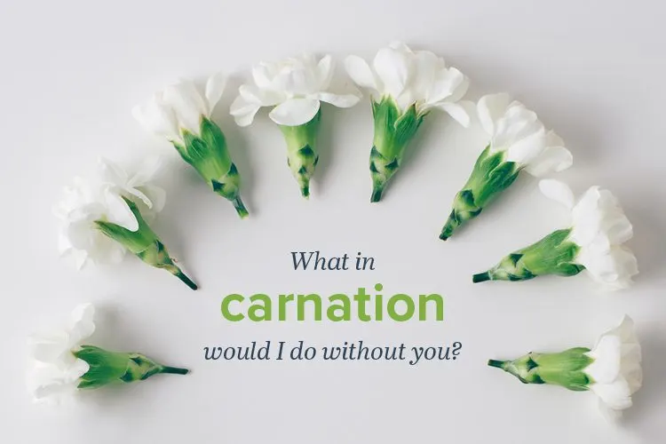 35 Heartfelt Thank You Message Examples for Every Occasion