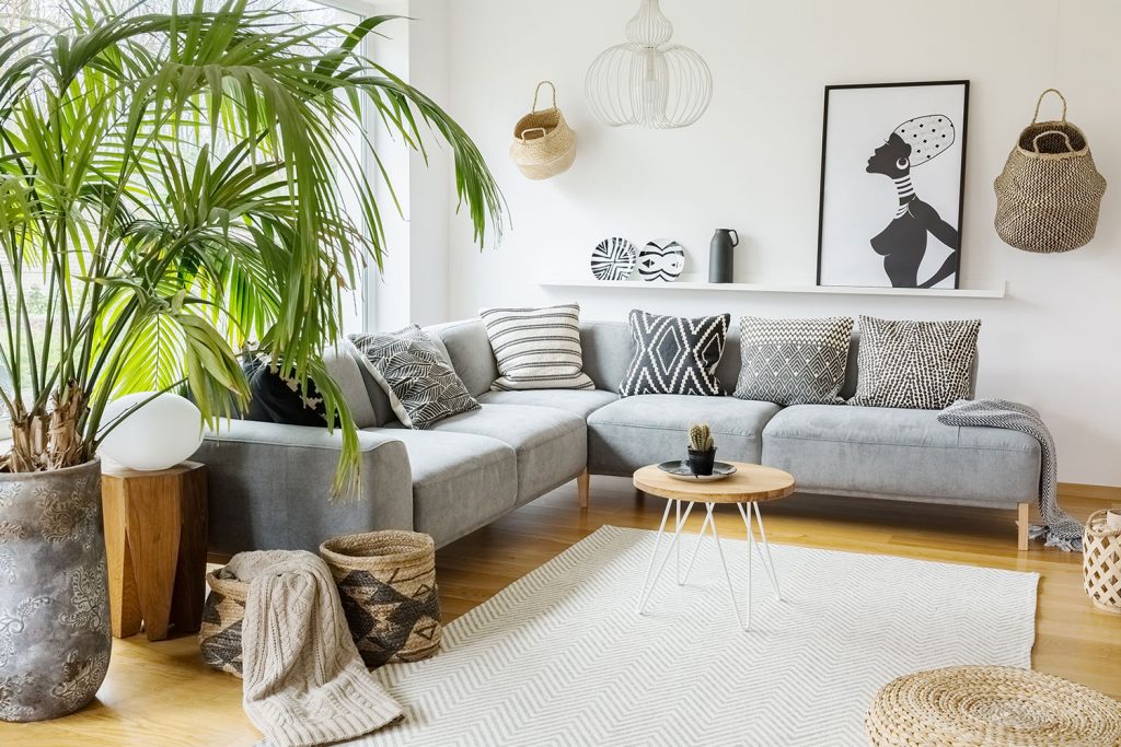 19 Large Indoor Plants for Your Personal Oasis | FTD