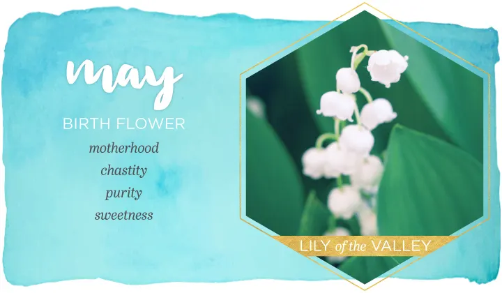 Birth Month Flowers and Their Meanings