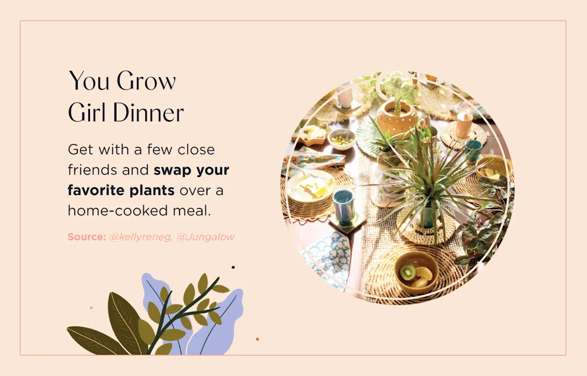 Your Guide to Hosting a Neighborhood Plant Swap | FTD.com