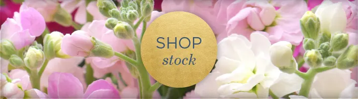 Stock Meaning and Symbolism - FTD.com