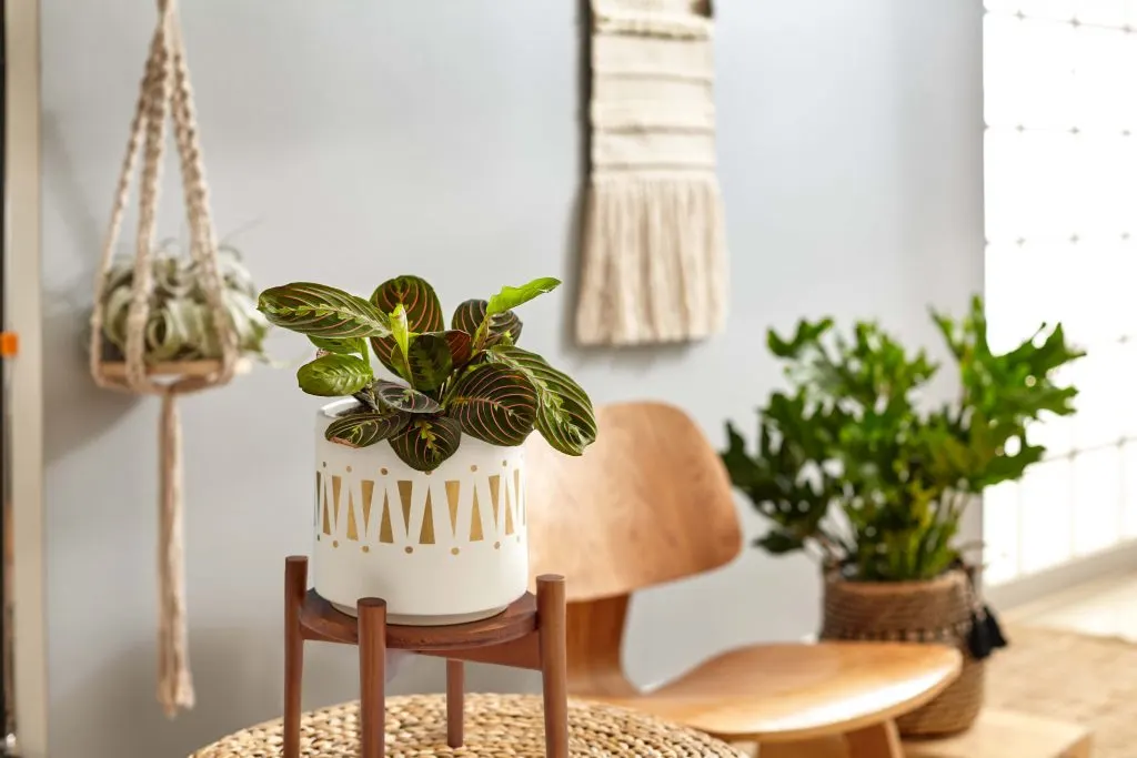 Five Ways Interior Designers Use Flowers - FTD.com