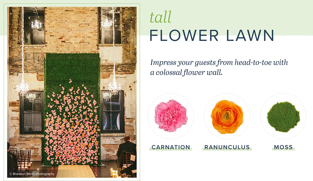DIY Flower Wall for Any Occasion | ProFlowers