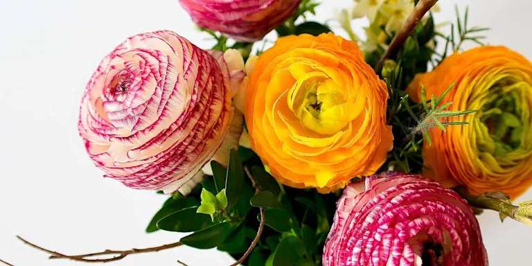 Flower Color Meanings & Symbolism | Proflowers Blog