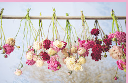 How To Hang Flowers Upside Down My Heart Lives Here
