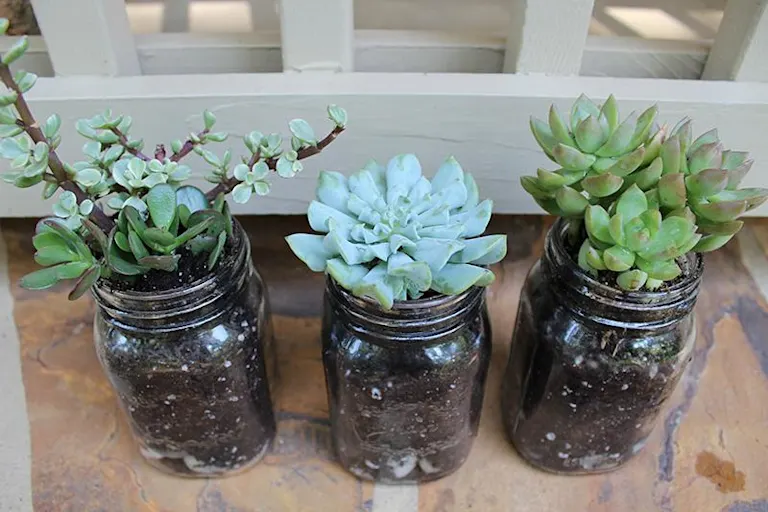 3 Ways to Reuse You Mason Jars - Fresh by FTD