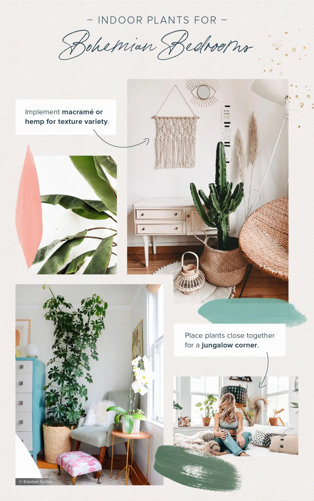19 Large Indoor Plants for Your Personal Oasis | FTD