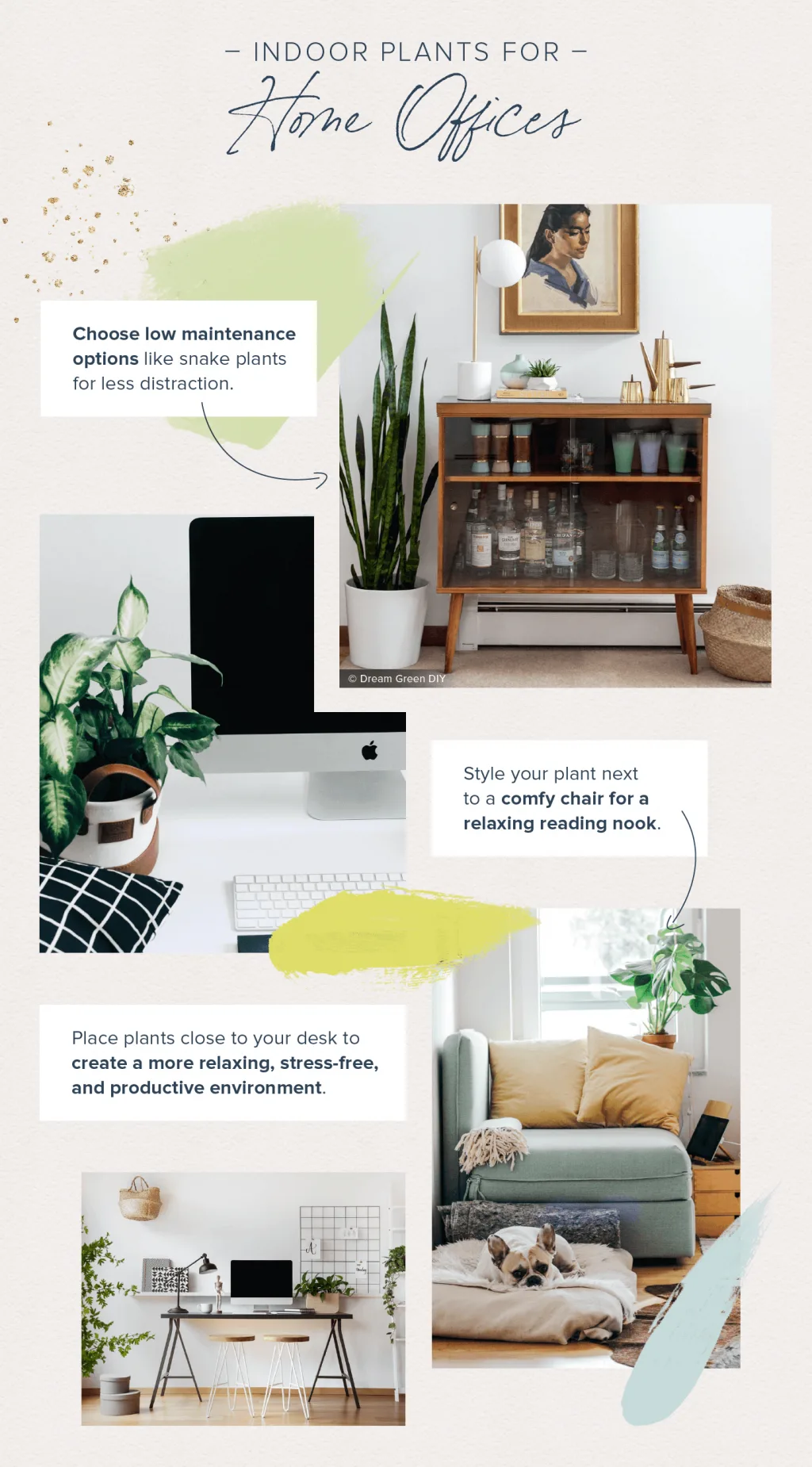 19 Large Indoor Plants for Your Personal Oasis | FTD