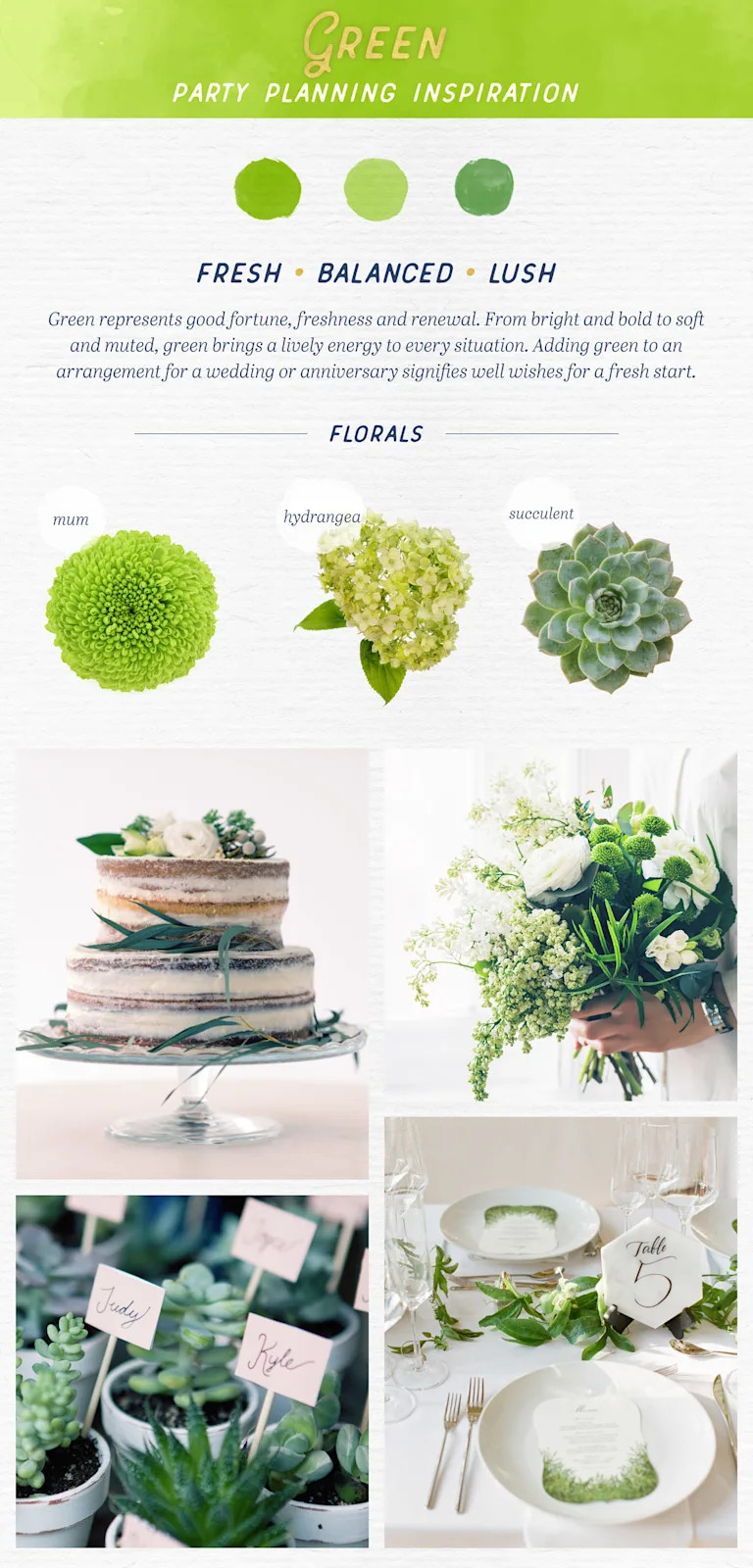 How to Pick the Perfect Floral Arrangement Using Color Psychology - FTD.com