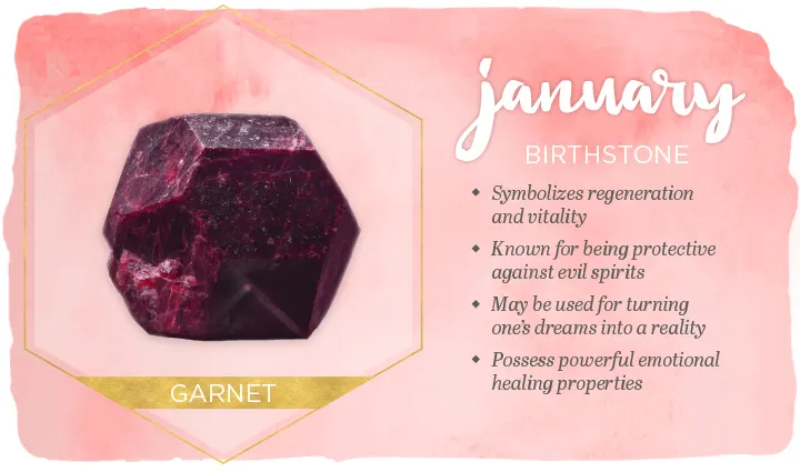 January Birth Flower: Carnation - FTD.com
