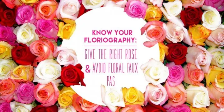 Know Your Rose Meanings: Give the Right Rose - Fresh by FTD