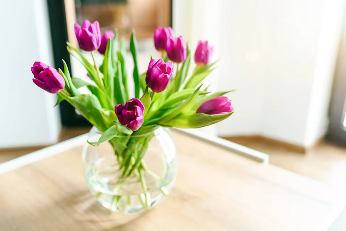 Best Sympathy Flowers: 12 Florals, Their Meaning and Etiquette Tips ...
