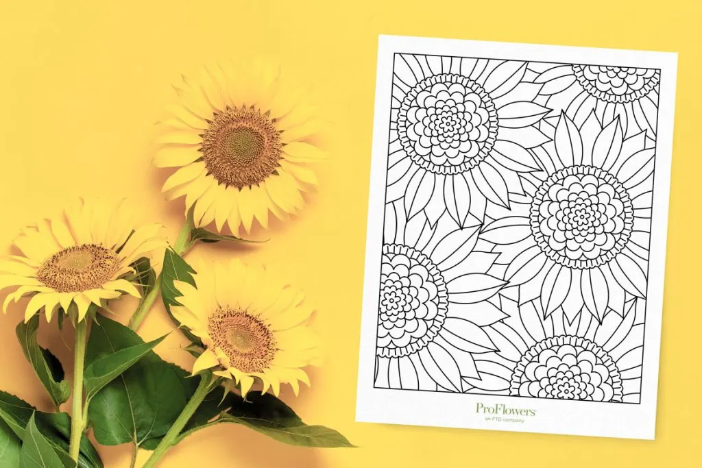 Free Printable Sunflower Coloring Pages for All Ages | Proflowers Blog