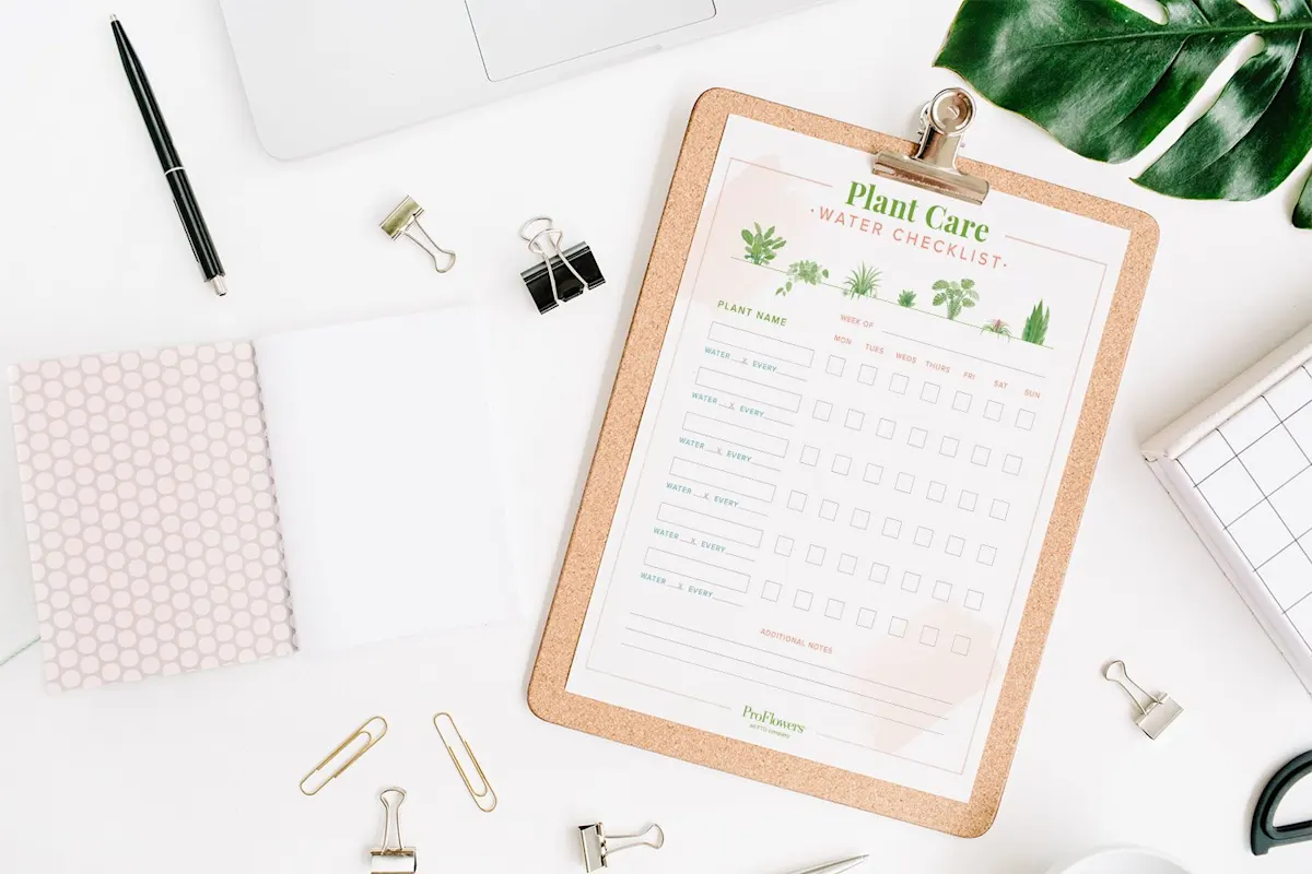 Houseplant Care Printables for Any Plant Lover - ProFlowers Blog