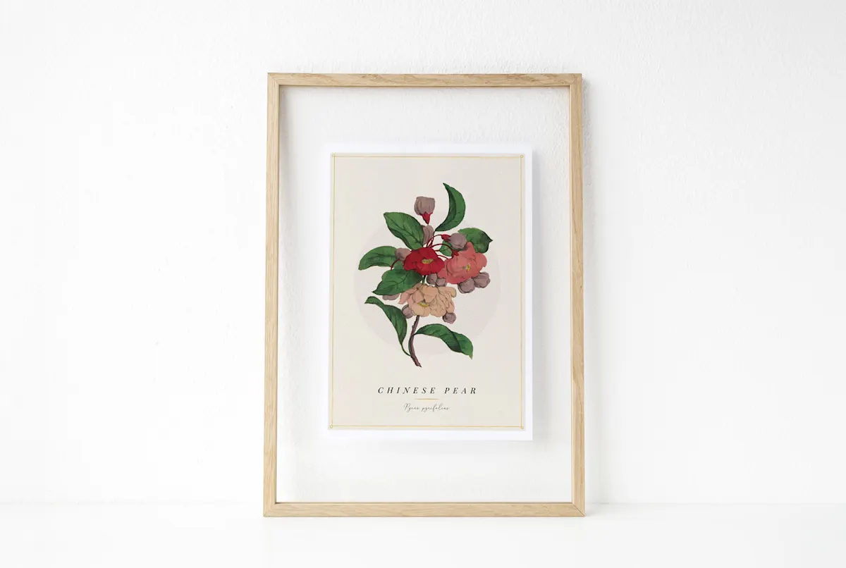 8 Free Botanical Prints to Liven Up Your Space - FTD.com