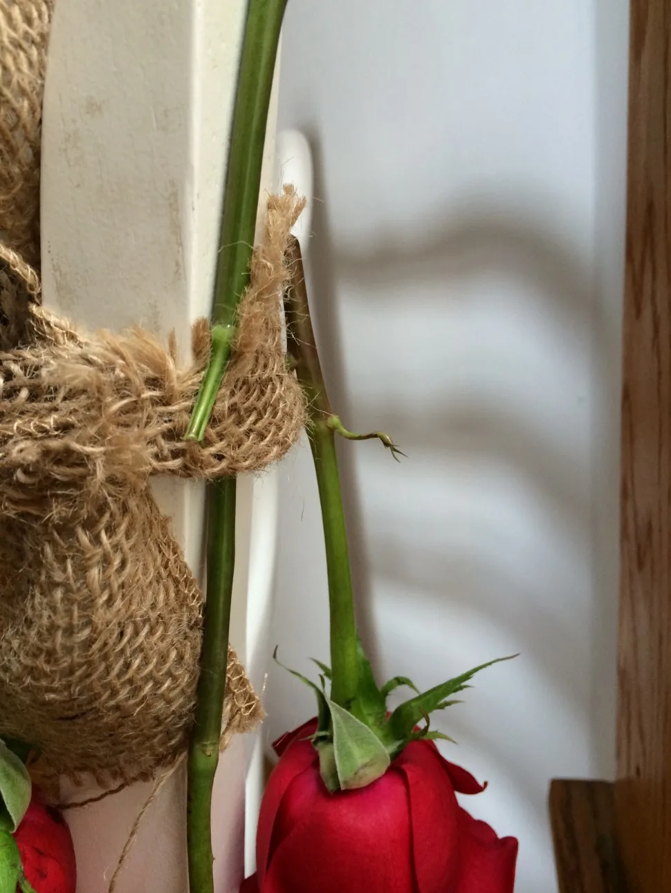 How to Dry Your Roses - Fresh by FTD