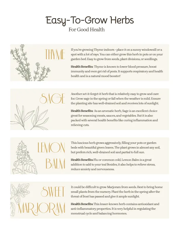 Herbs for Good Health: A Beginner’s Guide | FTD