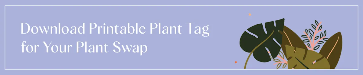 Your Guide to Hosting a Neighborhood Plant Swap | FTD.com