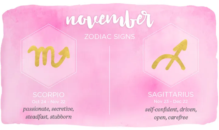 November Birth Flower: Chrysanthemum - FTD.com