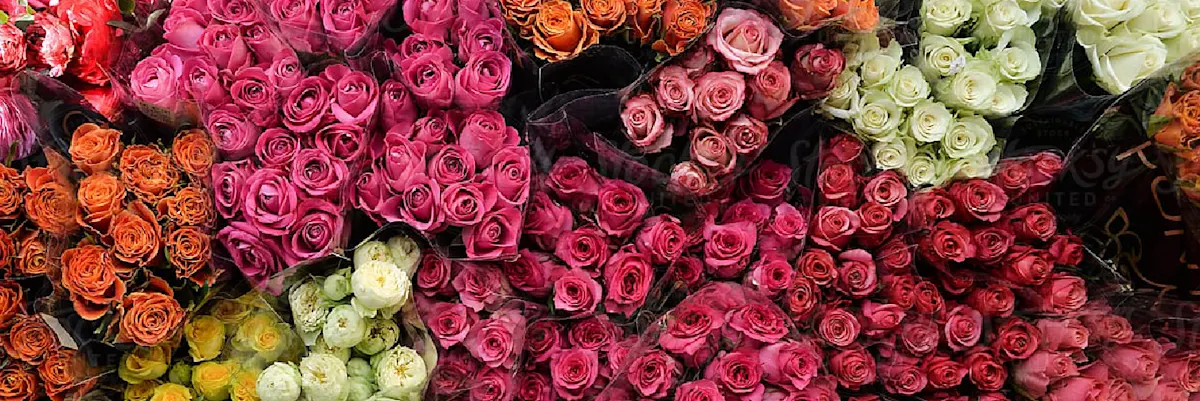 The Complete Rose Color Meanings Guide | Proflowers Blog